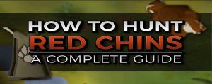 OSRS Red Chinchompas Guide - Best OSRS Guides