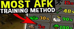 OSRS Best AFK Training Methods - Best OSRS Guides
